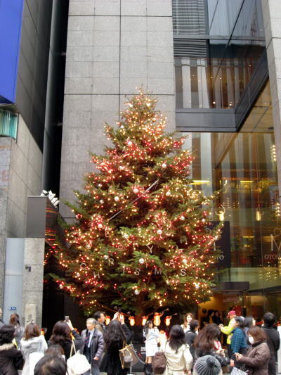 ぶらり銀座散歩♪またまたスター☆☆☆に遭遇の巻き！完結: アジアンキャッツカフェ★WE LOVE HIDEKI FOREVER